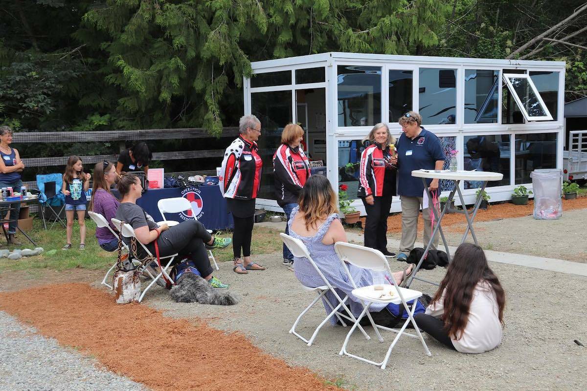 Operation Freedom Paws connects therapy dogs with veterans and disabled ...